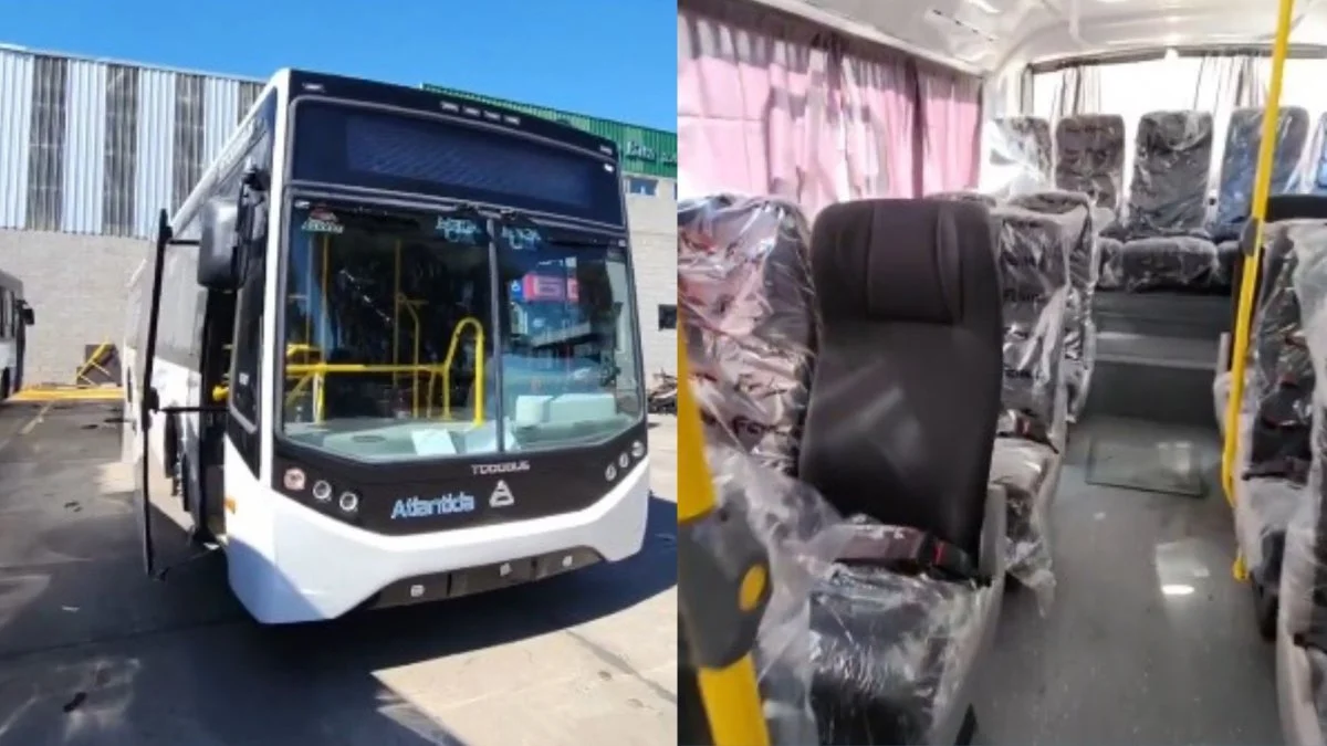 Las nuevas unidades de la línea 57 de colectivos tendrá asientos ...